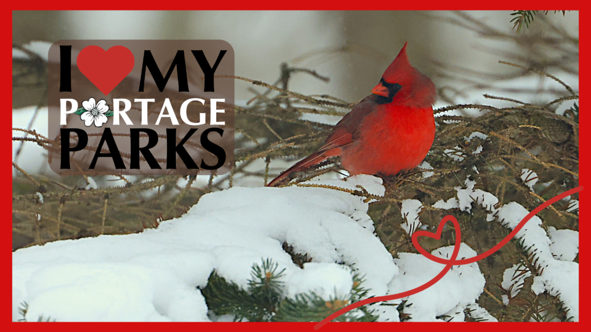 Portage Park District February Newsletter