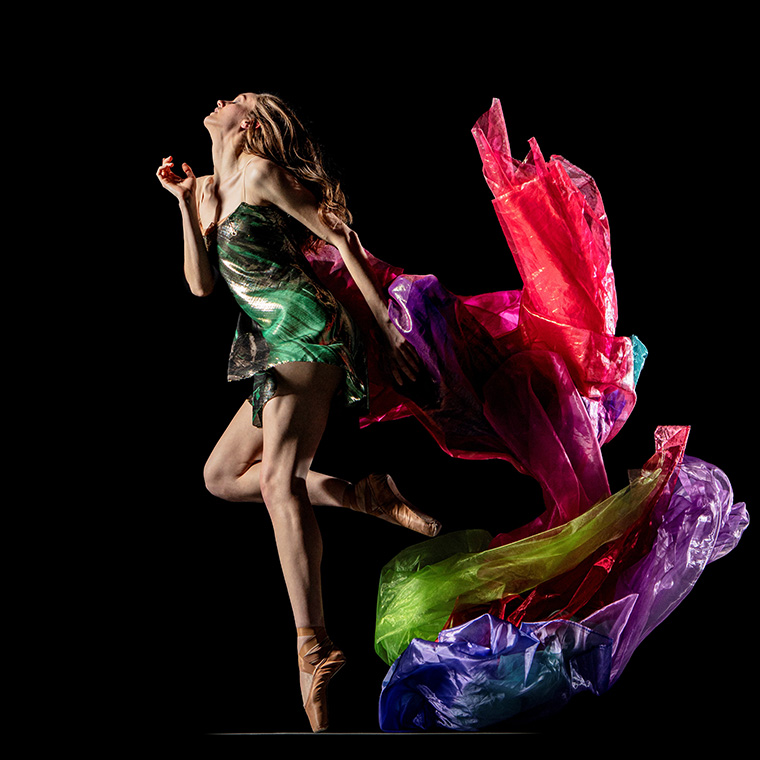 Ending Soon! Save 50% on select shows at the Carpenter Center