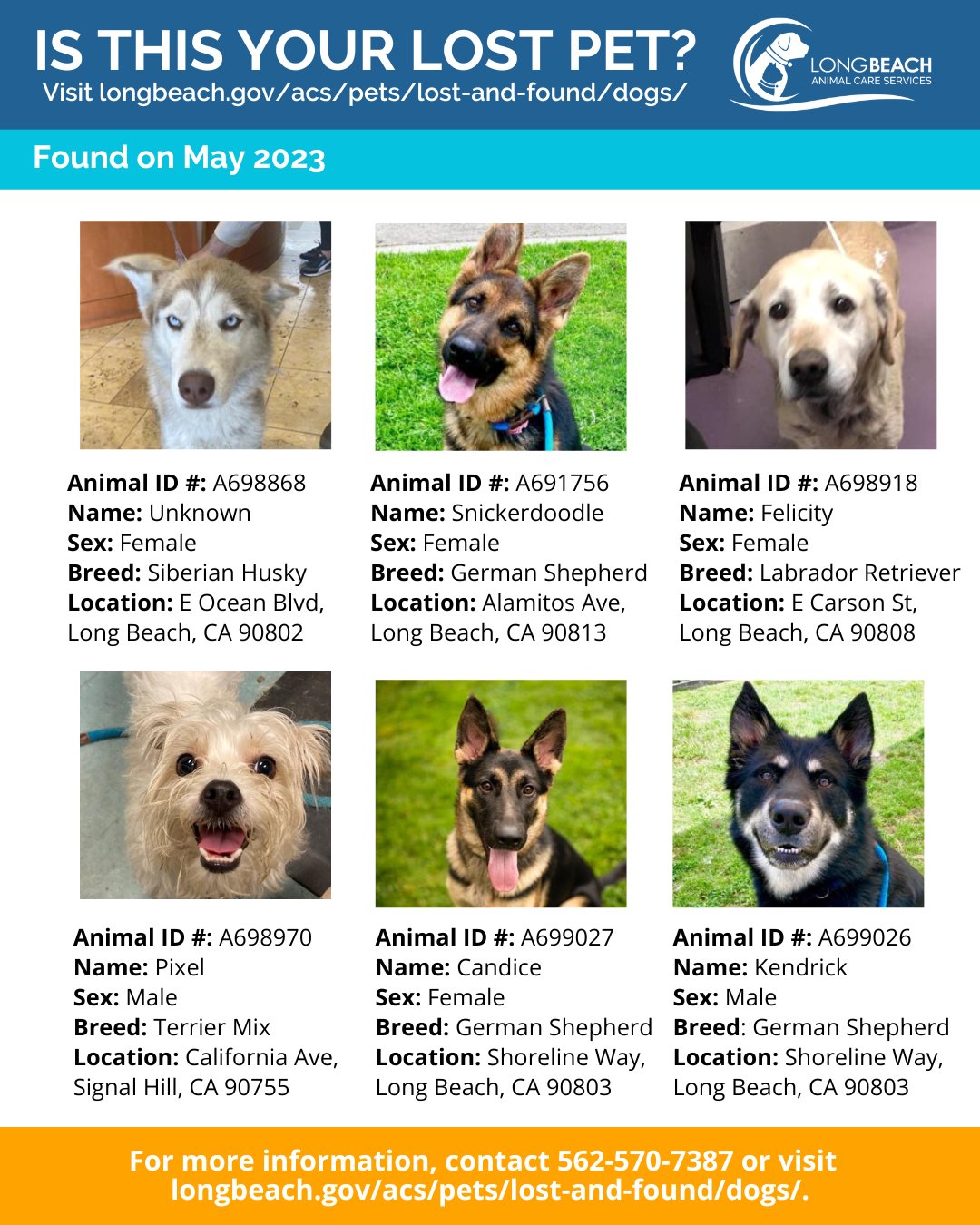 City of Long Beach News: Permanent Shelter for People Experiencing ...