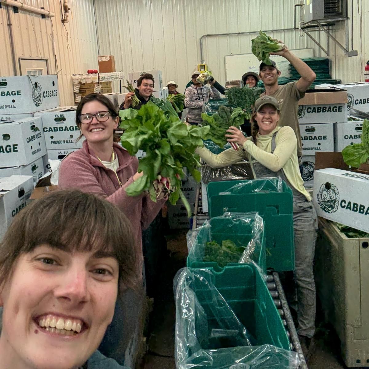 Summer CSA Week 8 - August is here!