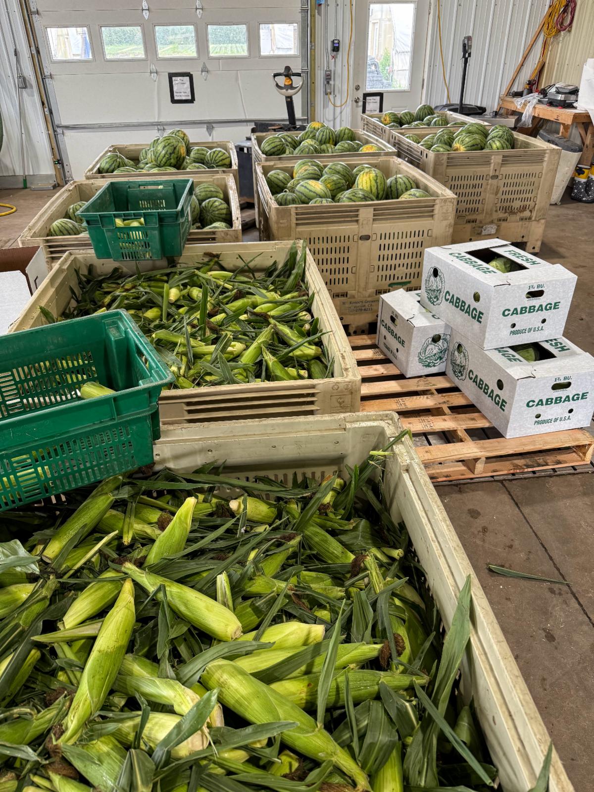 Summer CSA Week 8 - August is here!