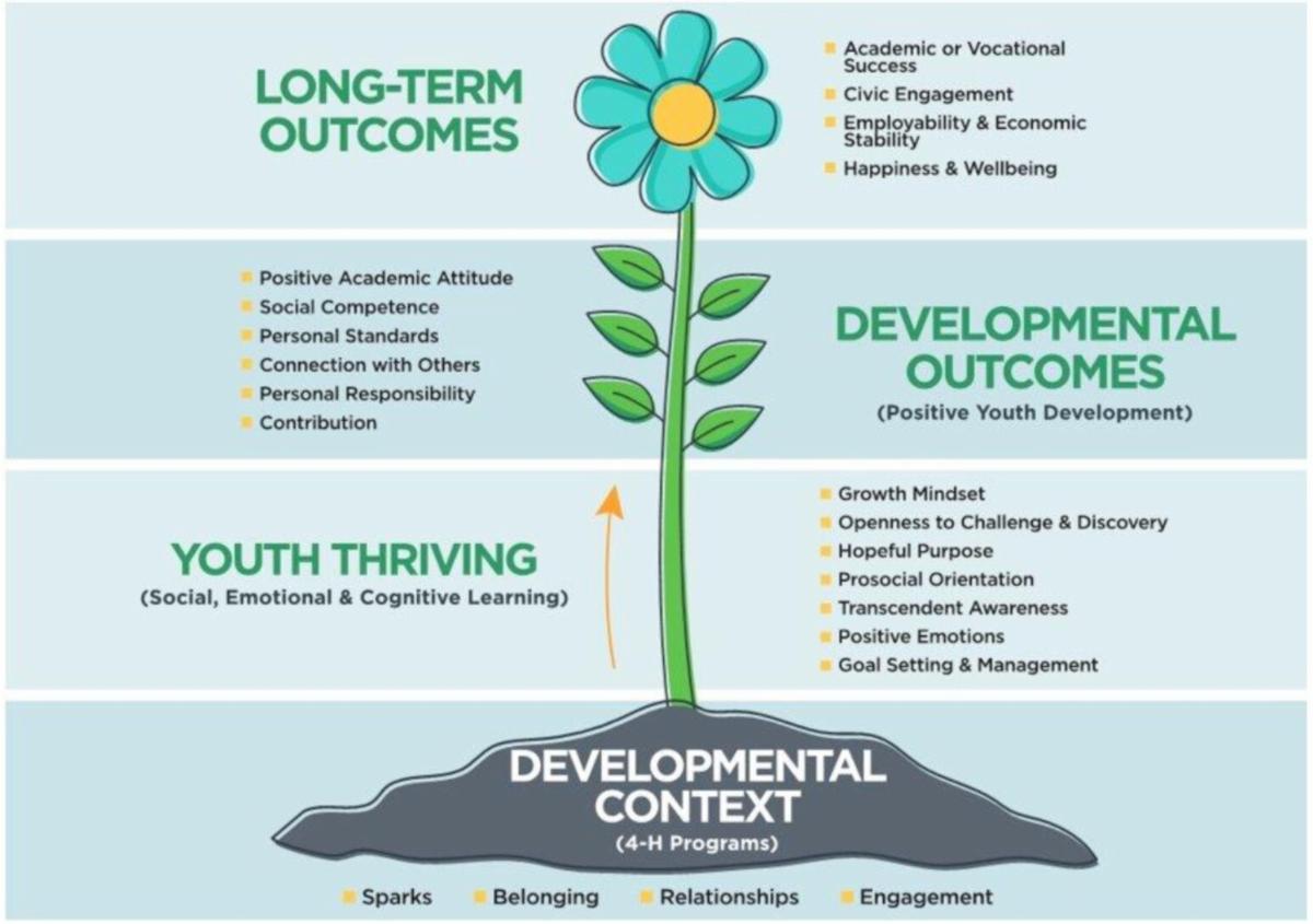 Read Our JoCo Extension Updates!