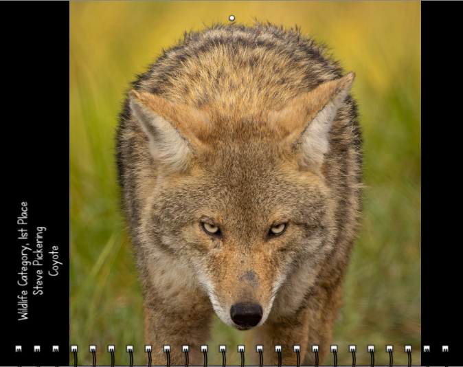 Friend, January 2026 Newsletter: Merry Christmas, Happy Holidays, and ...