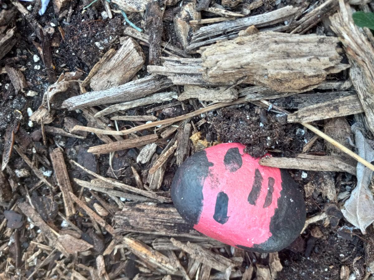 Imagine School at North Port Upper Campus News