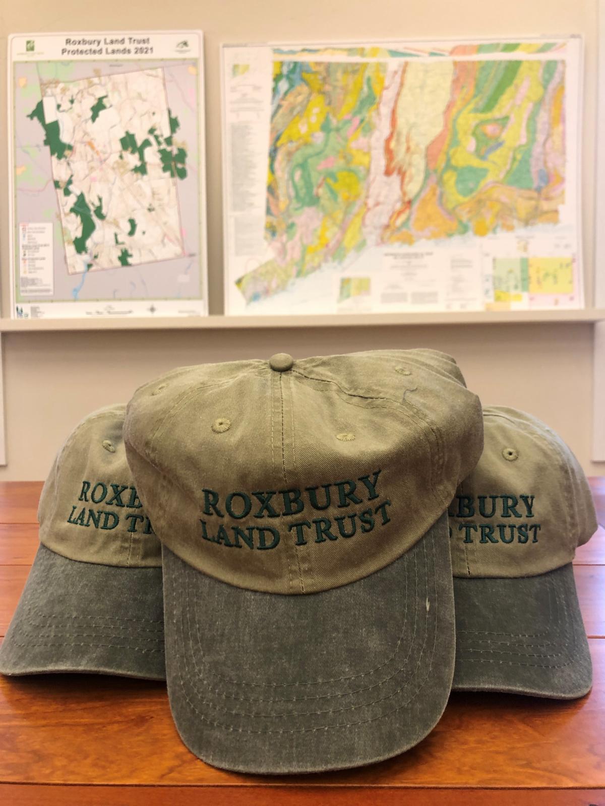 Animal Architects Talk with Gerri Griswold