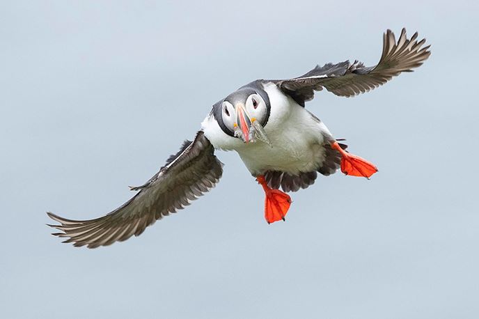 Exciting Bird Photography Trips for 2022