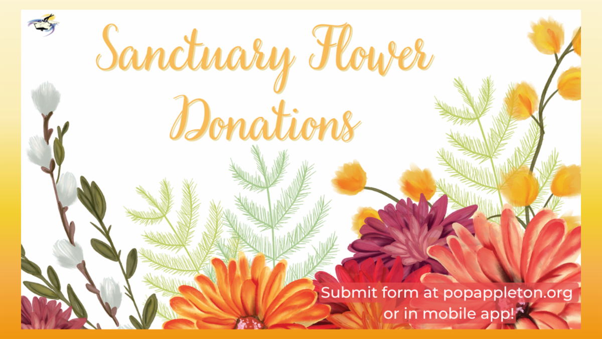 PoP Connections for Fourth Sunday after the Epiphany | 2.2.25