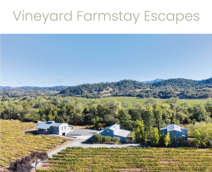 Wilson Artisan Wines introduces Artisan Lodges
