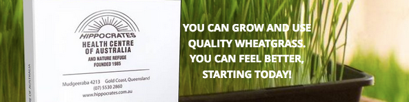 You're Ageing Well. We love this song.