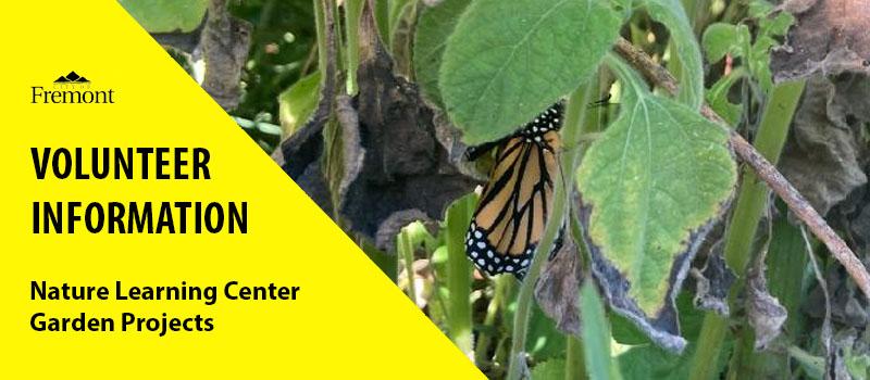 Nature Learning Center Garden Information