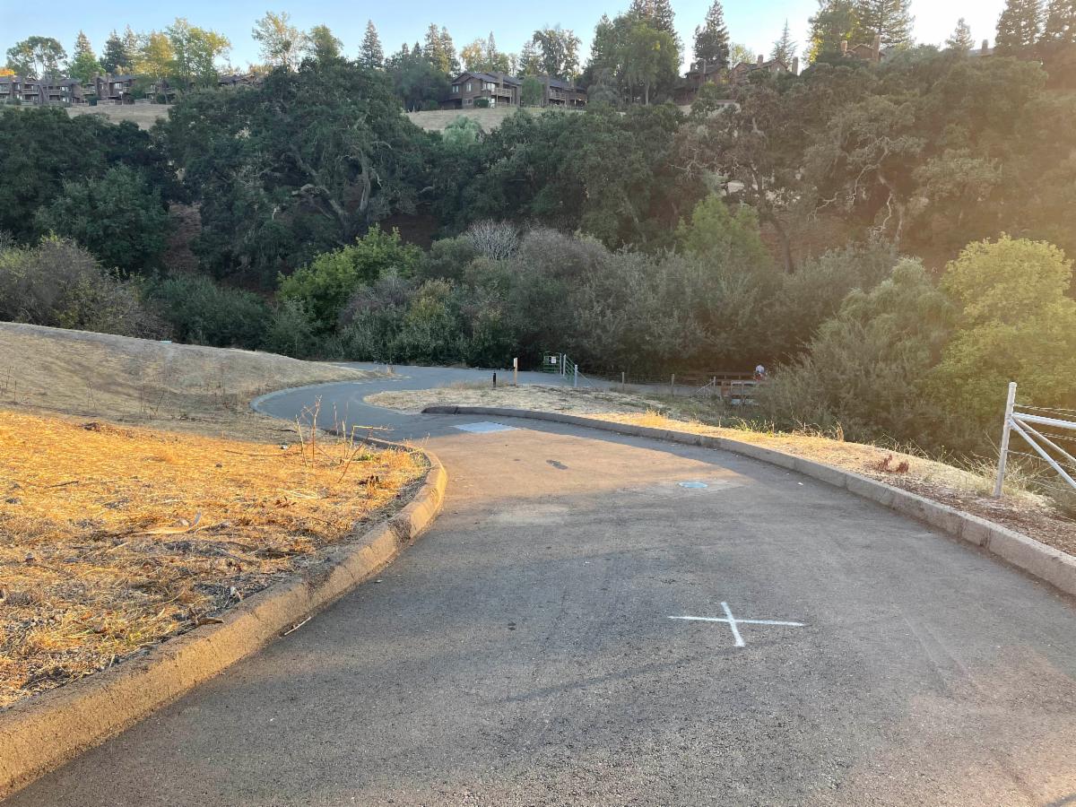 Sabercat Historical Park, west of wooden bridge near s2, along Sabercat ...