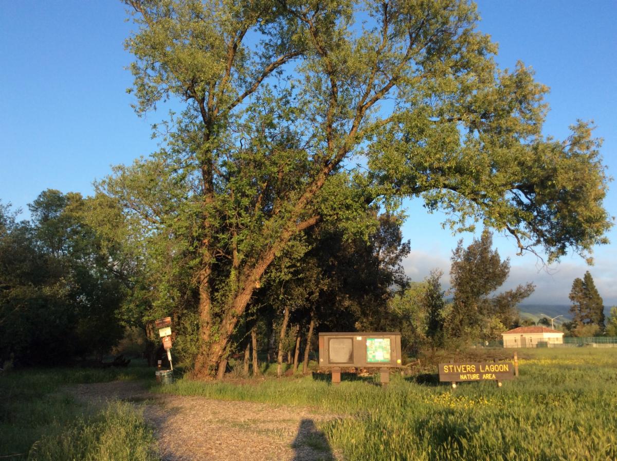 Stivers Lagoon Nature Area Information