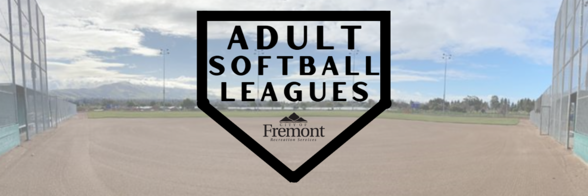 Adult Softball Summer-Fall League