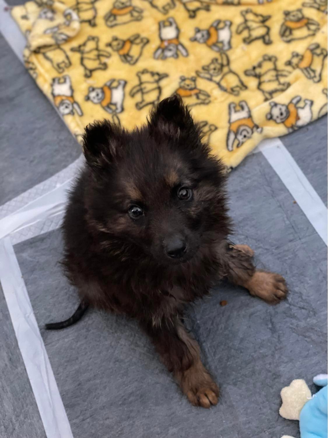 Friend - You Can Double Your Impact Today!