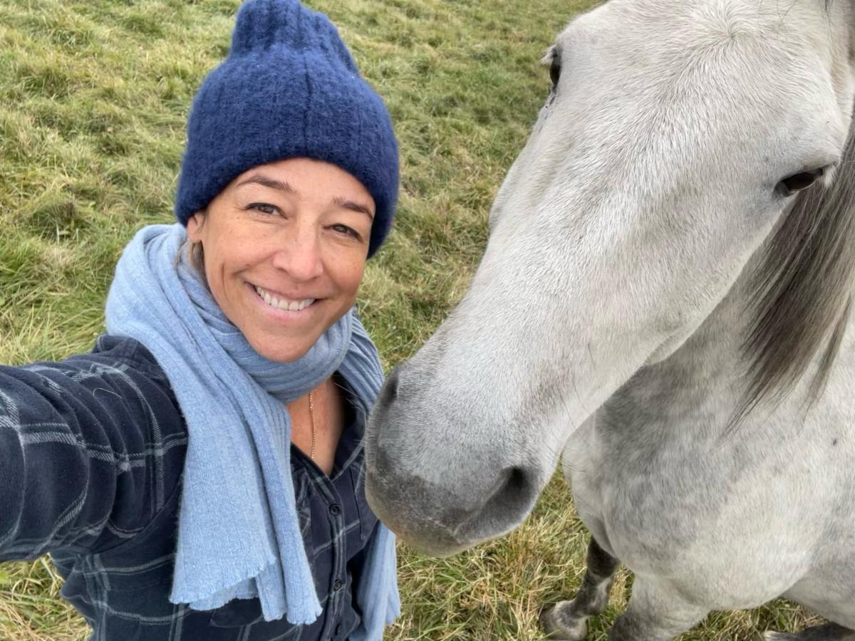 Introducing Good Luck Farm Lipizzans