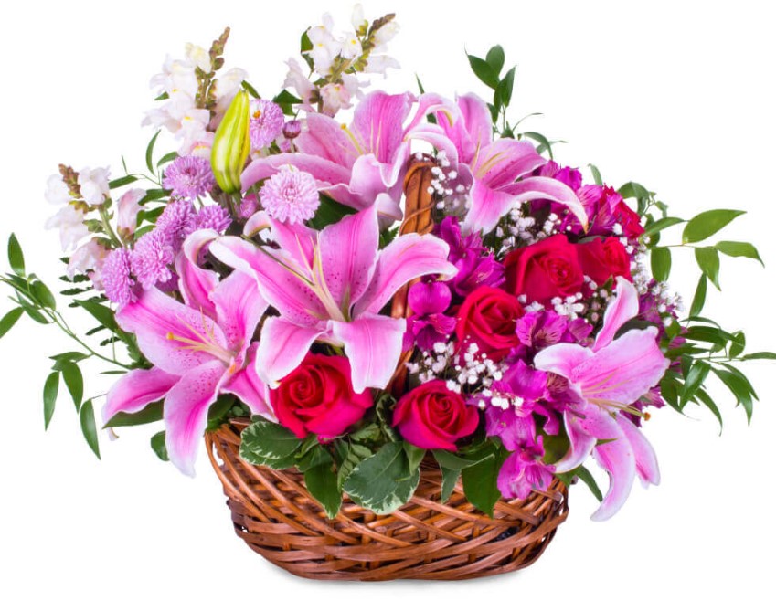 Grace Notes: January 18, 2026, Second Sunday after Epiphany