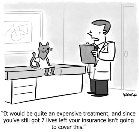 Hello, , Epic Enhancement Information is here!