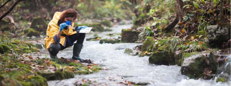 What do you know about field sampling & data collection?