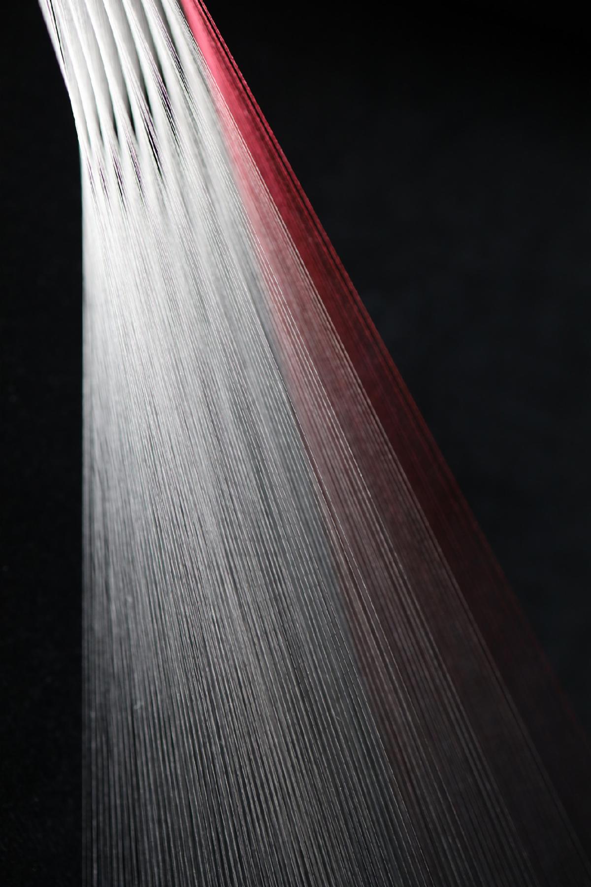 Evan Rosenberg in July