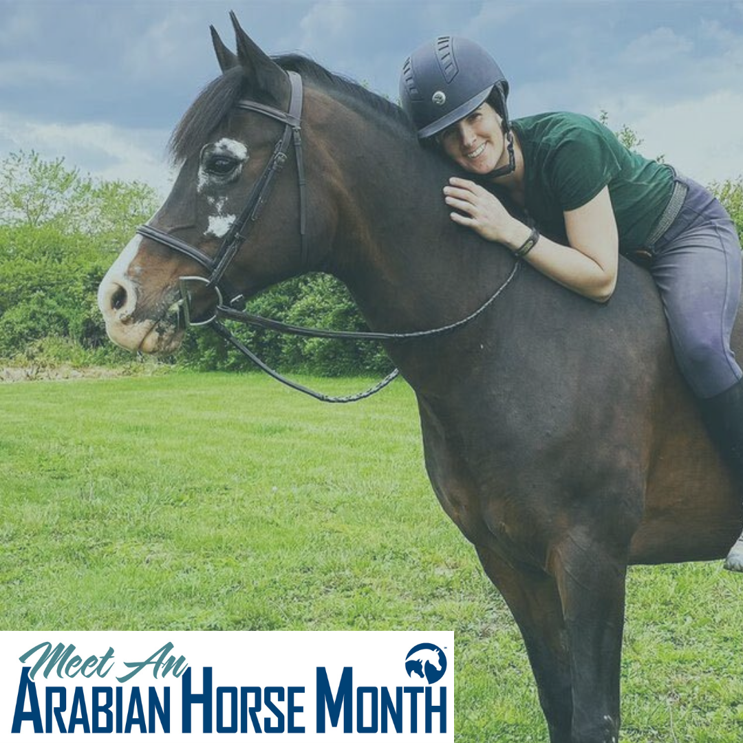 Virtual Show Updates, Meet an Arabian Horse Member Feature, and More!