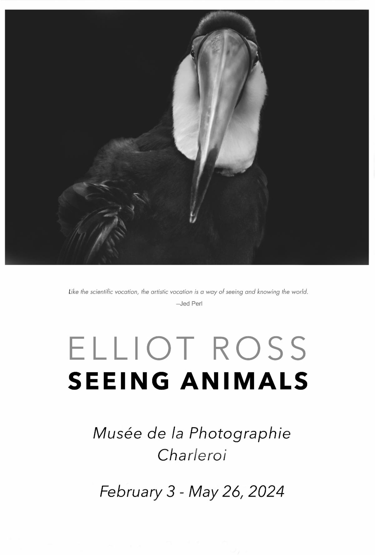 Musée de la Photographie Charleroi exhibition - ELLIOT ROSS: Seeing Animals
