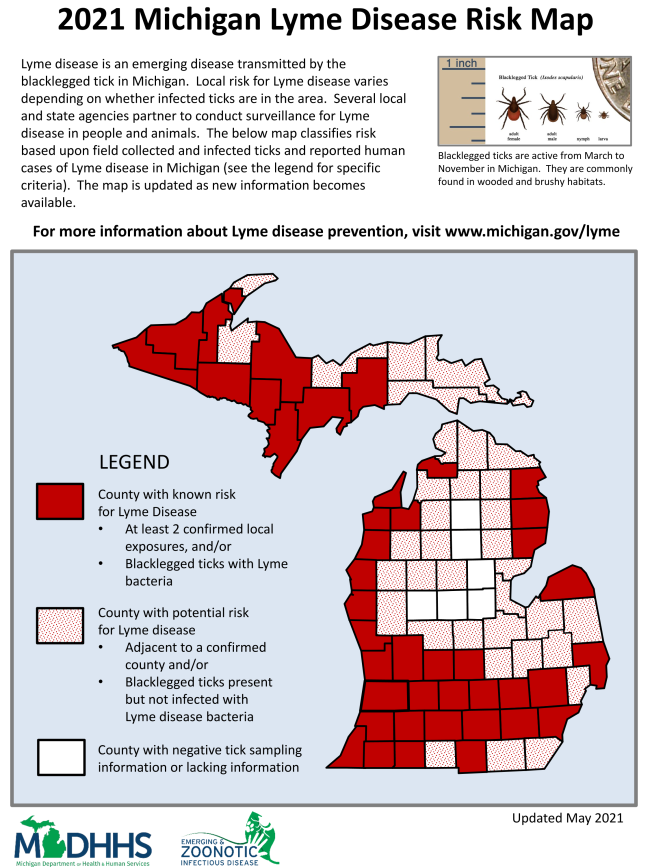 Granger Gazette--May 27, 2021