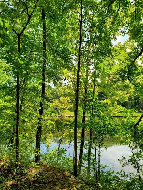 Join Us for the Summer Solstice: Namaste' in Nature - A Journey of ...