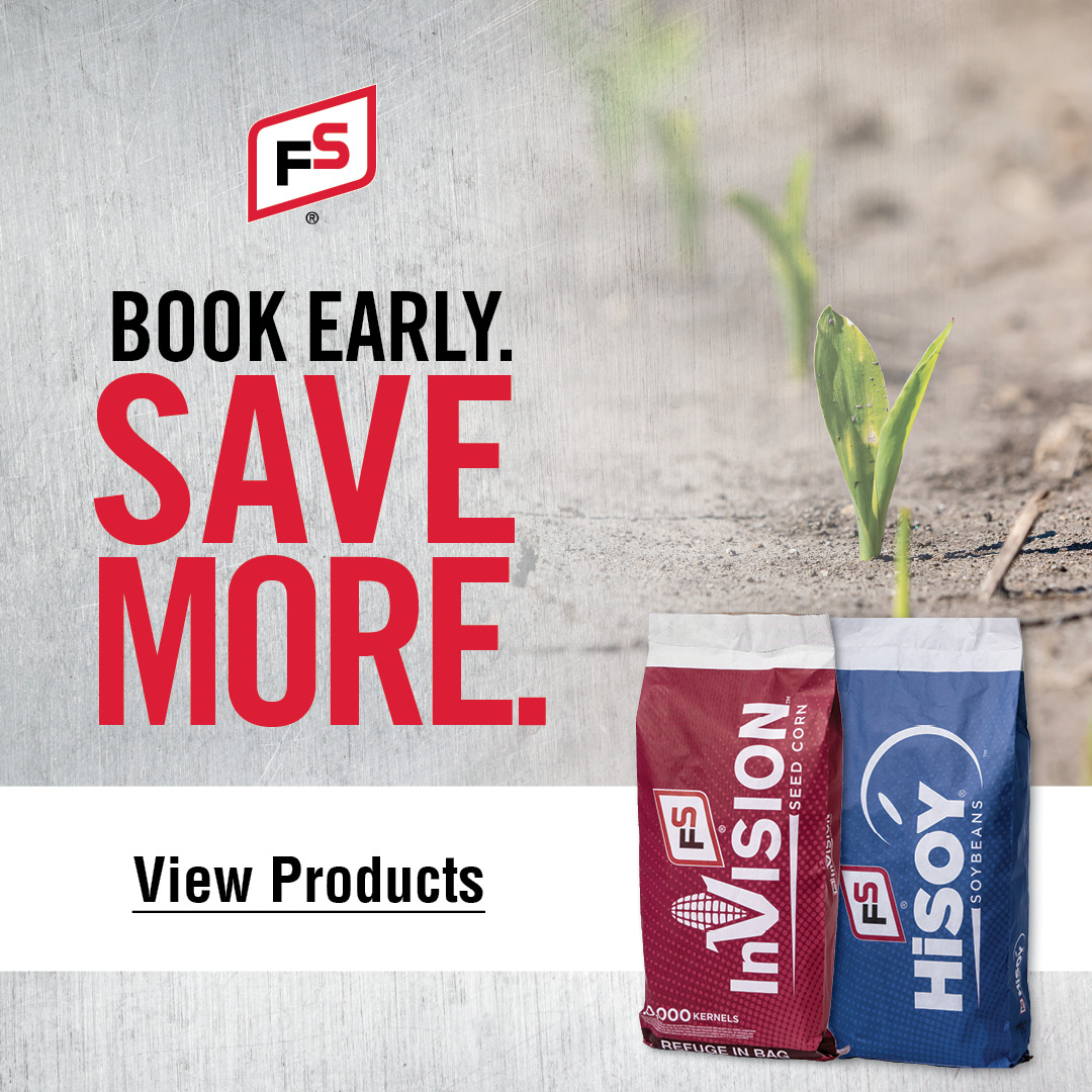 Your February Insight