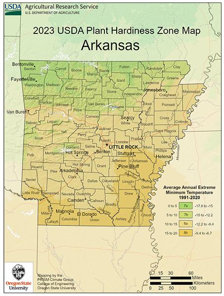 February Garden Thyme