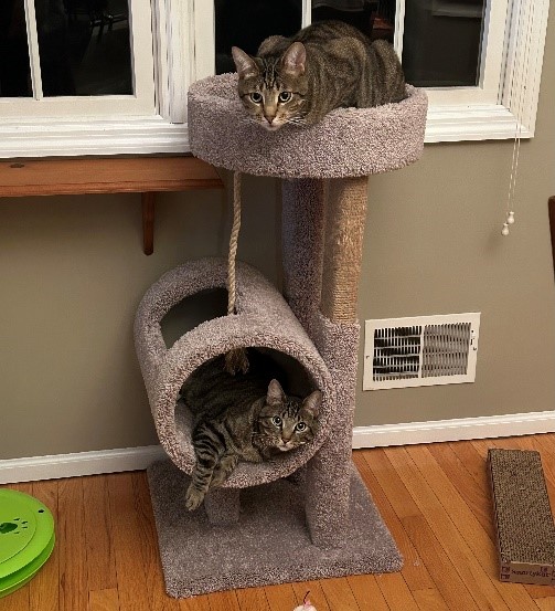 New Jersey Department of State Winter 2024 Internal Newsletter