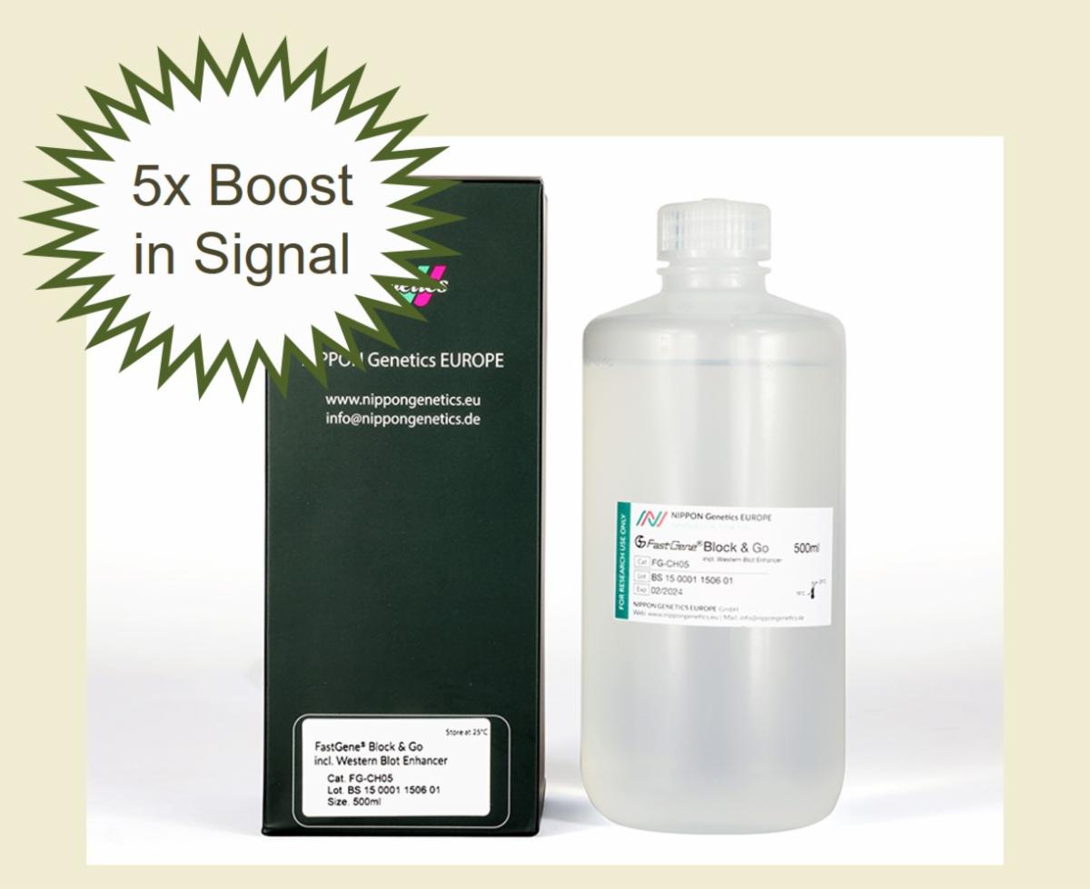 Western Blot Tools