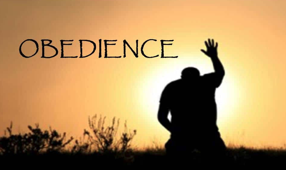 What If Our Understanding of Godly Obedience Is All Wrong?