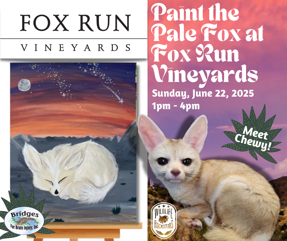 Paint the Pale Fox at Fox Run Vineyards