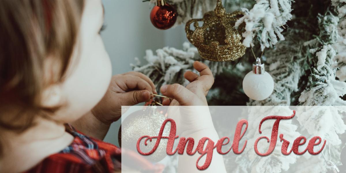 Christ Church Connection Opportunities