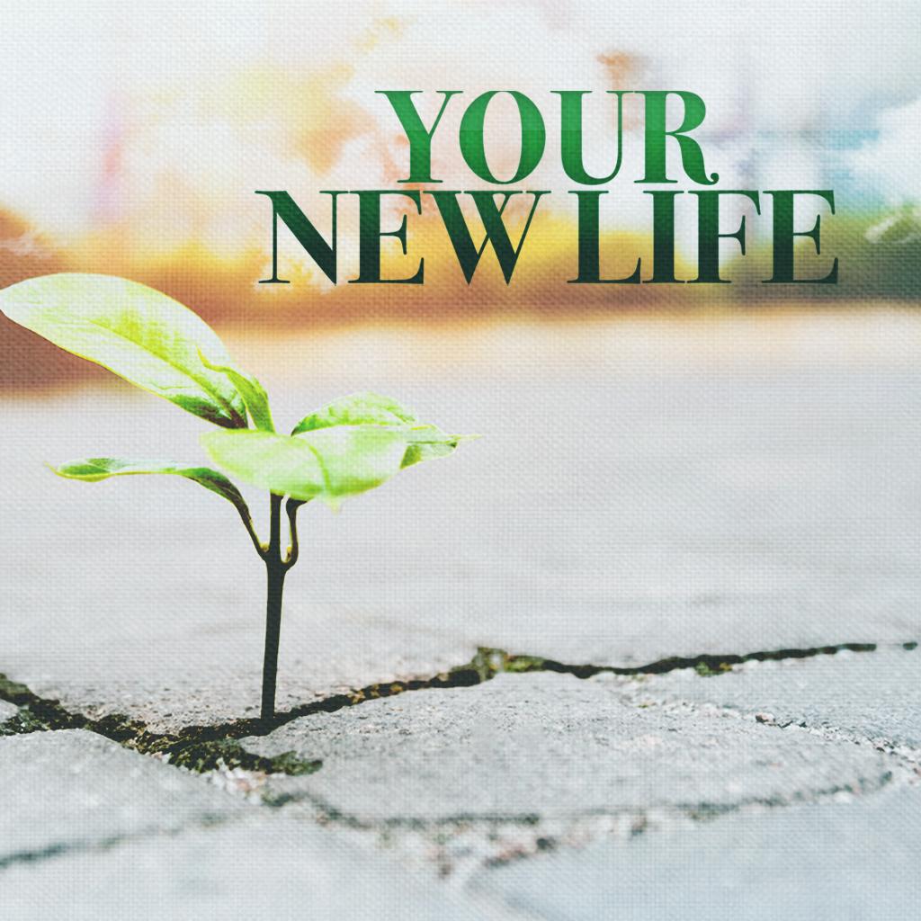 Christ Church Connection Opportunities