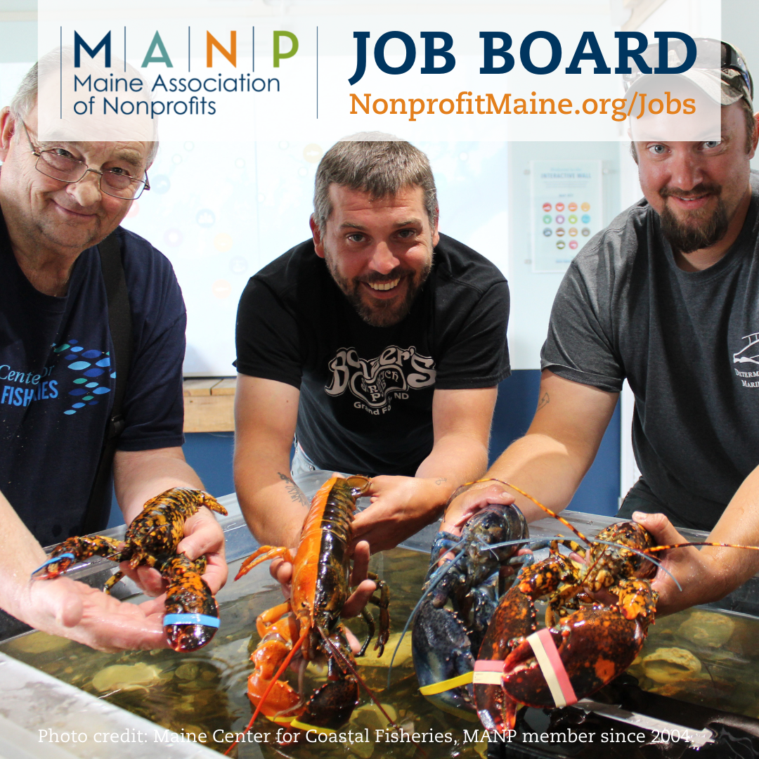 Nonprofit Weekly: Online certificate programs, bridging divides, our ...