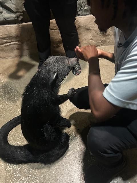 News & Views Jan 15- Exotic Mammals/Lithium Battery Risks/Comments