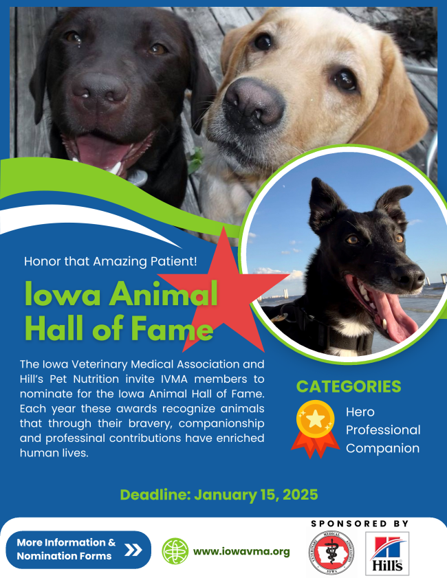 December 31 IVMA Communiqué