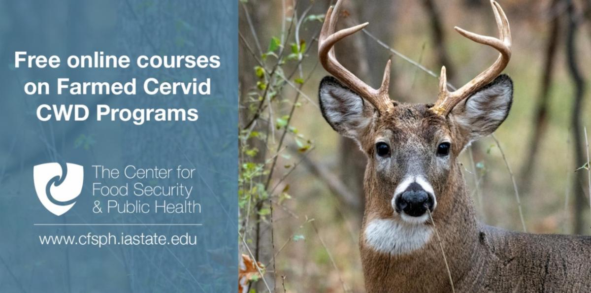 February 11 IVMA Communiqué