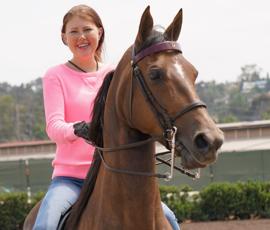 Weekly News Brief 02.29.2024