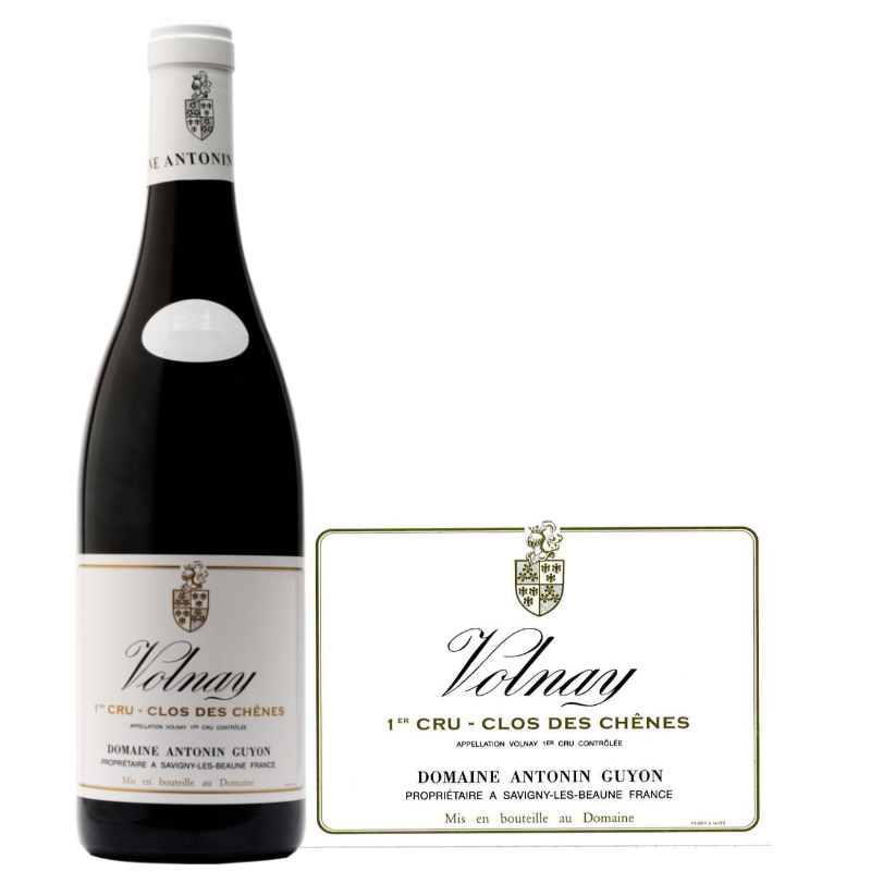 Antonin Guyon | The Great Value Burgundy