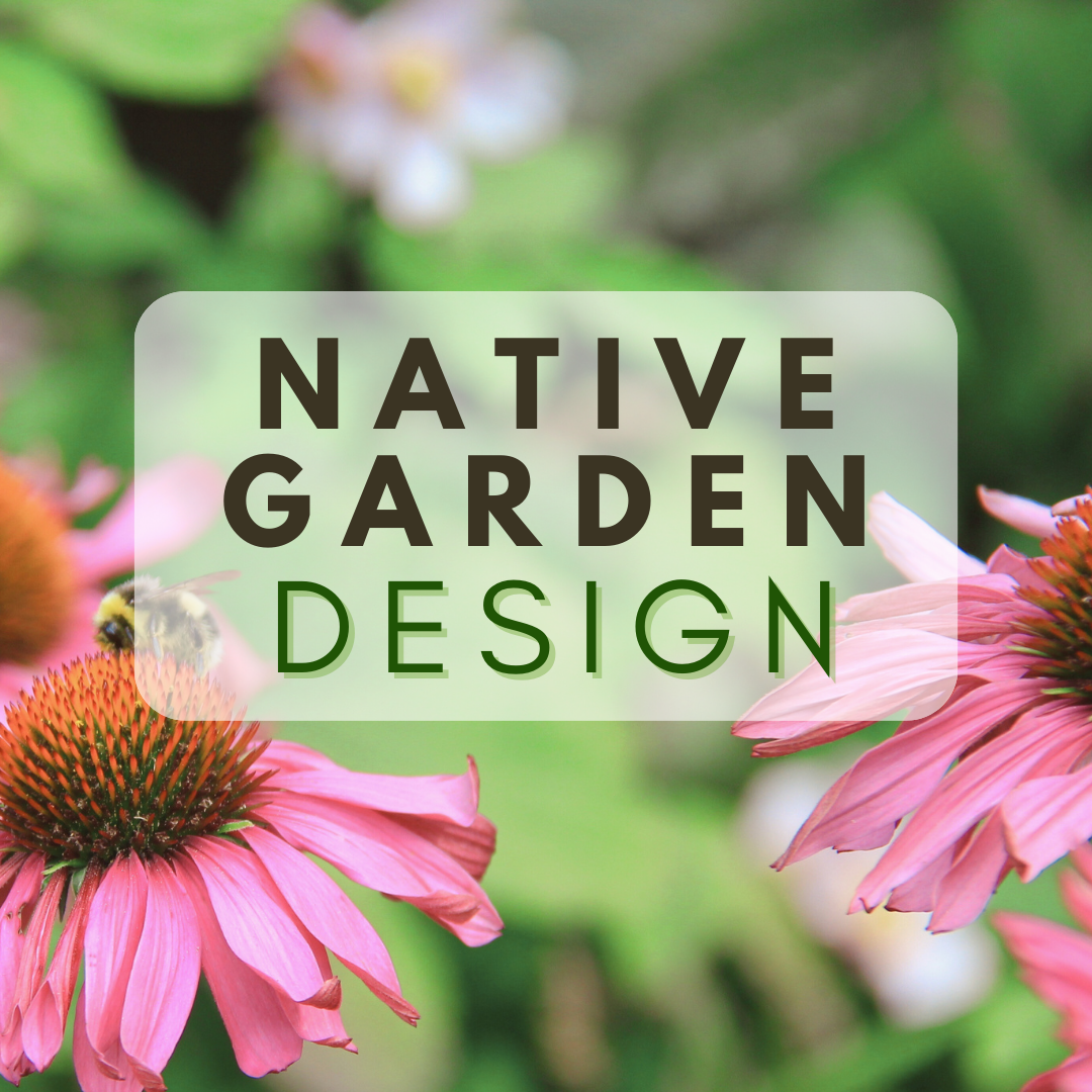 Reminder: ️ Winter Break Fun at the Nature Center—Every Day!