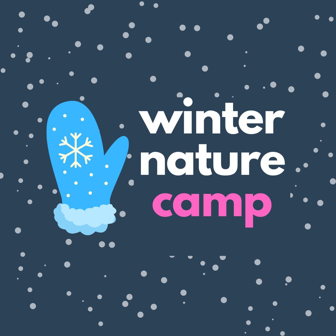 Reminder: ️ Winter Break Fun at the Nature Center—Every Day!
