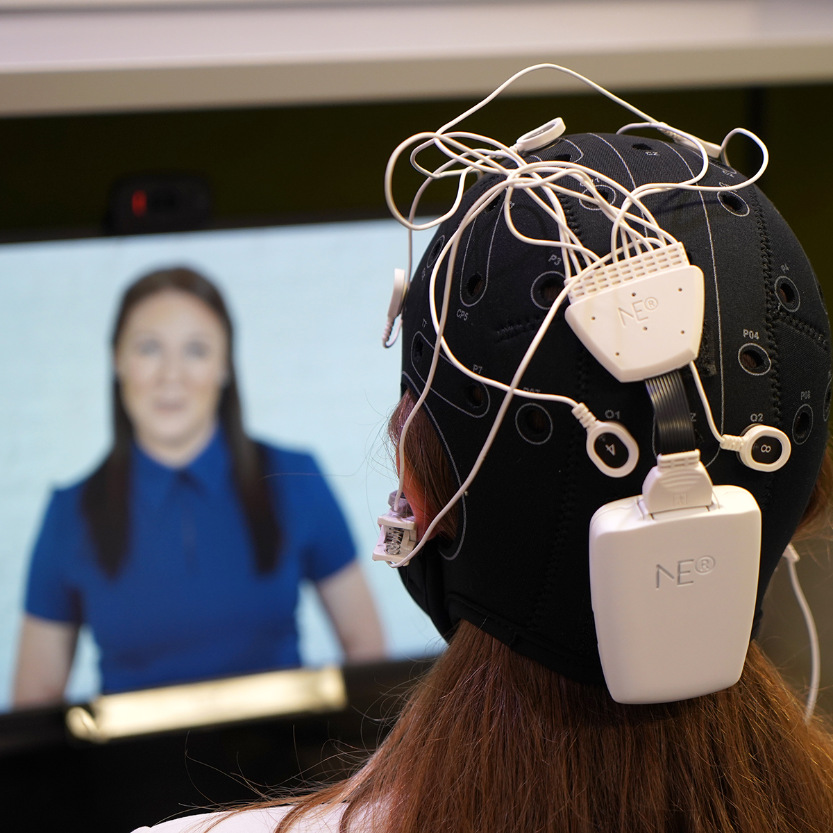 The February 2024 Newsletter from the USF Muma College of Business