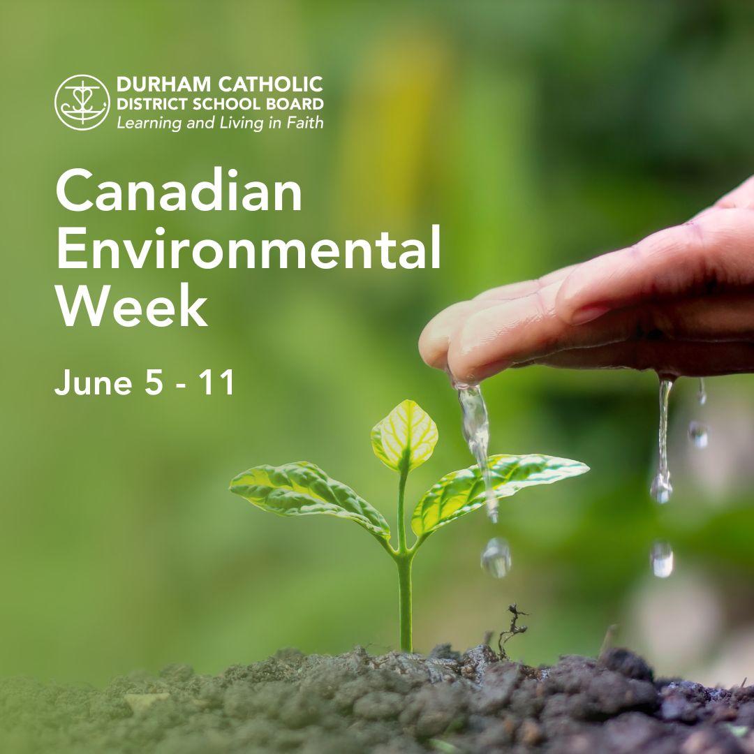 Weekly Buzz - Wk. of June 5, 2023