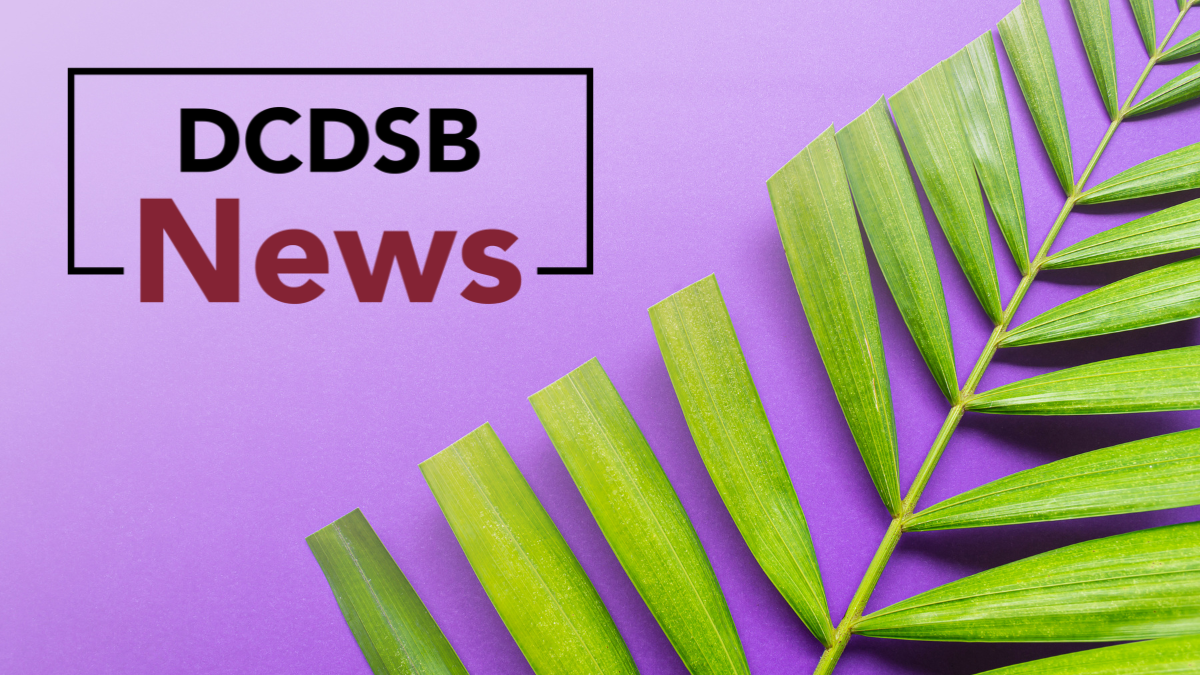 DCDSB News