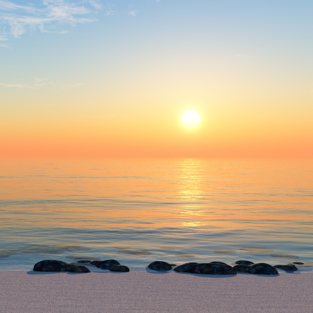 DCDSB News - Summer 2025