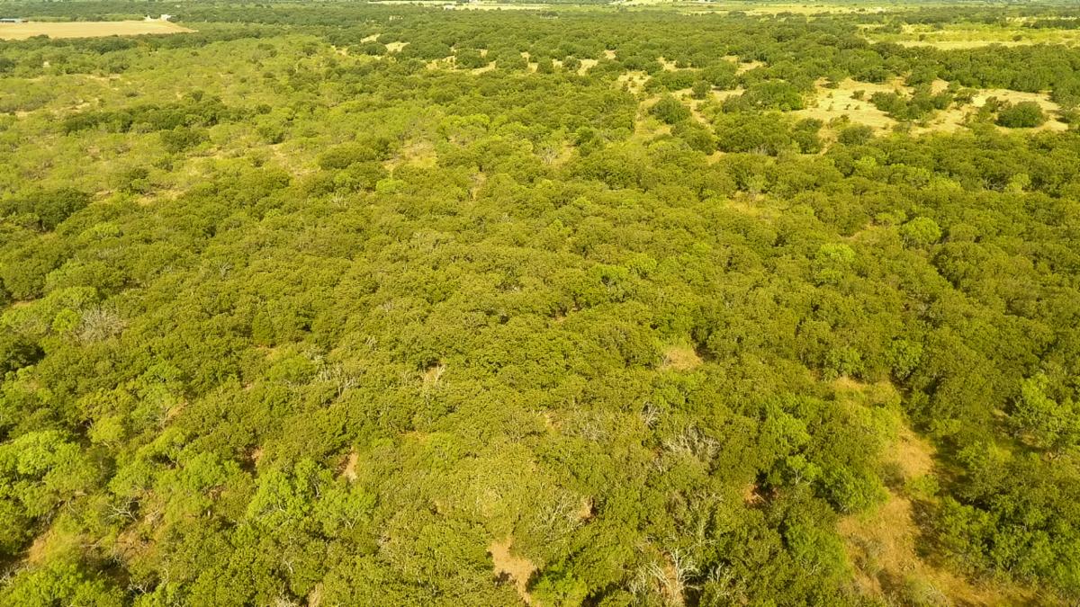 Wilks Ranch Brokers - September Newsletter