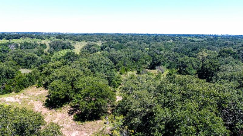 Wilks Ranch Brokers - September Newsletter