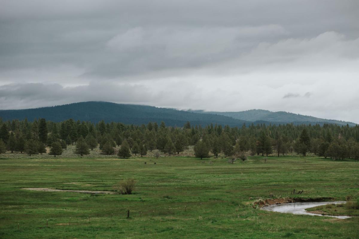 Wilks Ranch Brokers - September Newsletter